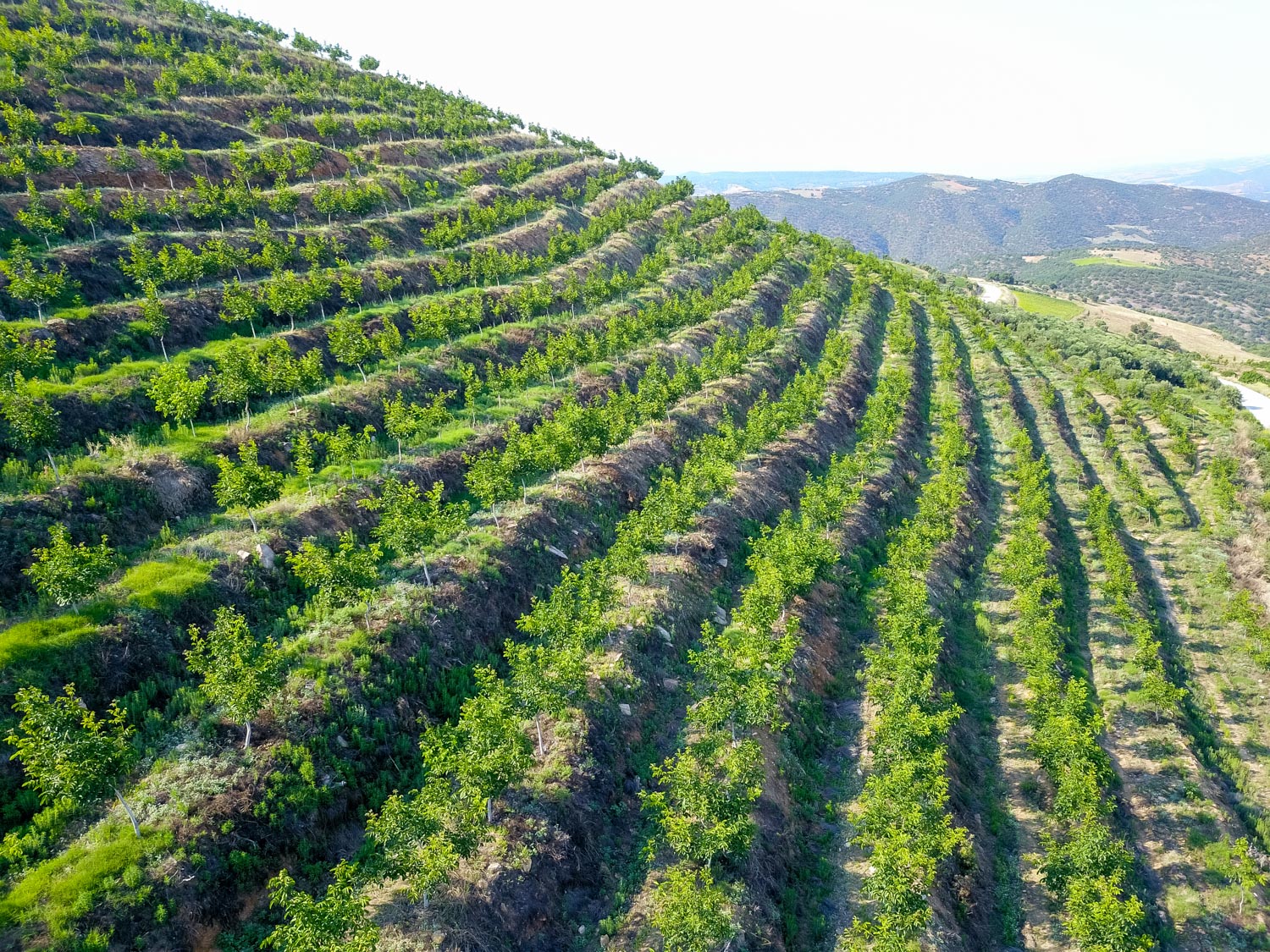 Hakkımızda – Luna Agro